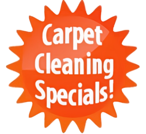 State Rug & Warwick Floors | Carpet Rugs, Cleaning, Hardwood